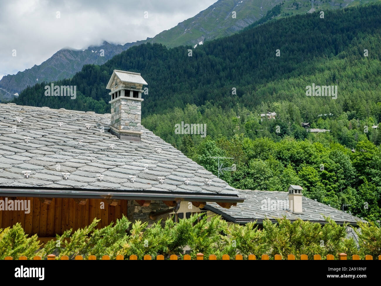 Italy houses tree tiles hi-res stock photography and images - Alamy