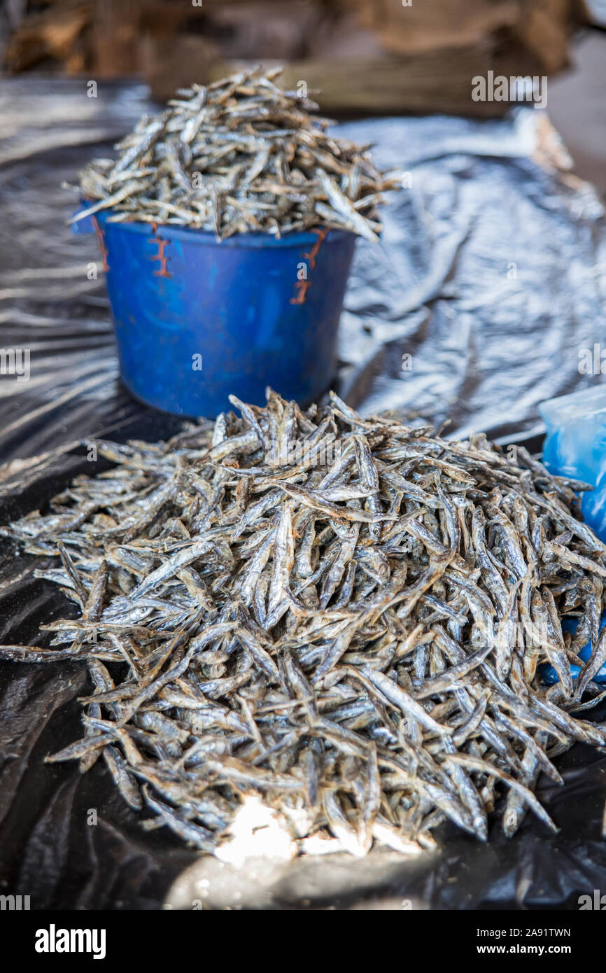 Fish image hi-res stock photography and images - Alamy