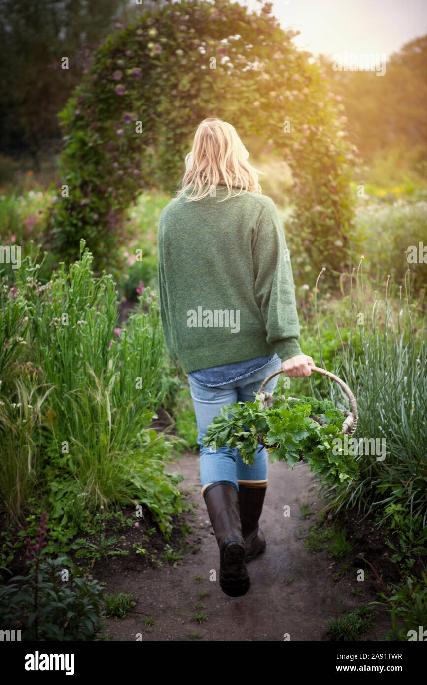 Slideshow384 hi-res stock photography and images - Alamy