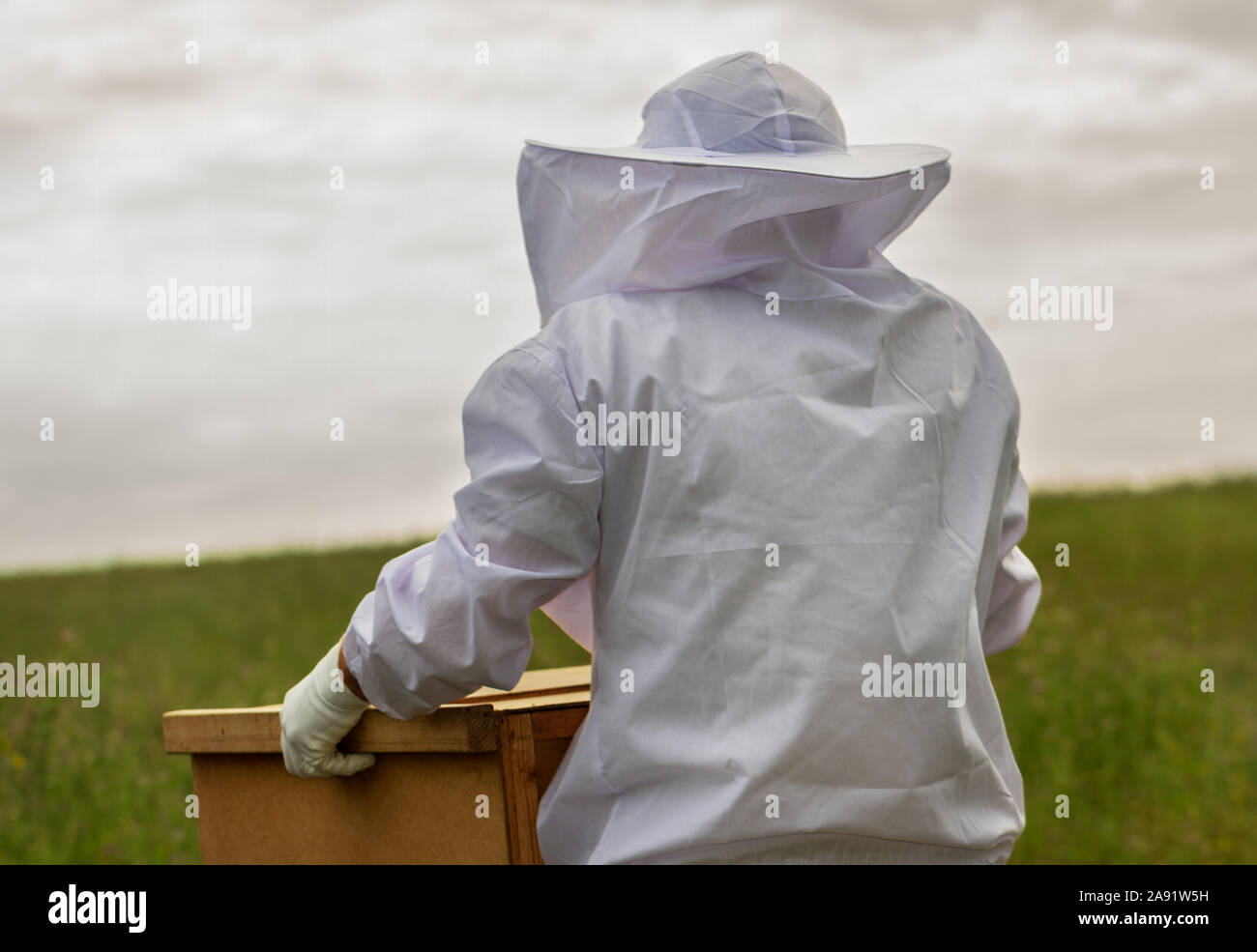 Apiarist is working in his apiary Stock Photo - Alamy