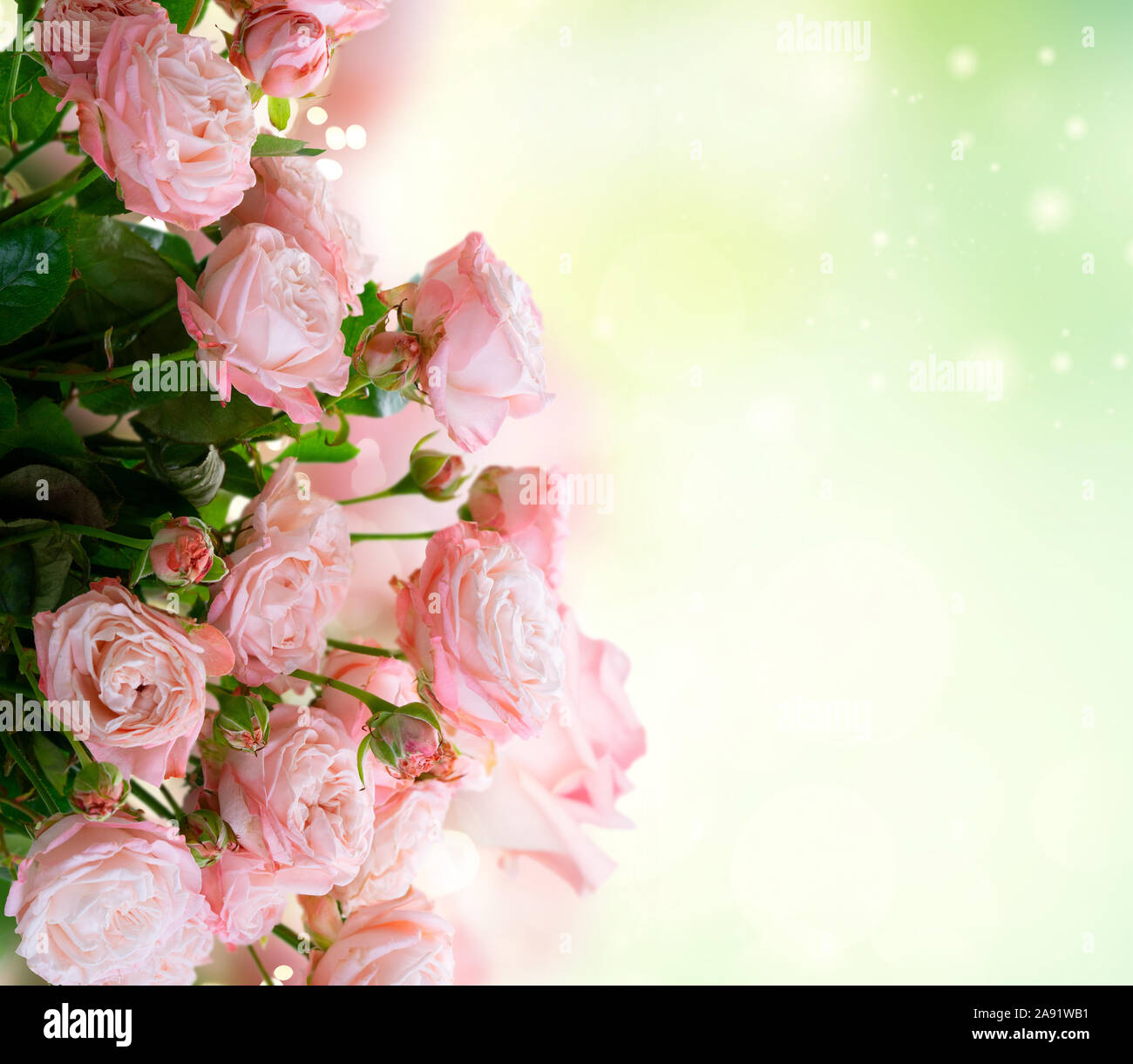 Rose small fresh flowers bouquet close up over garden background with ...