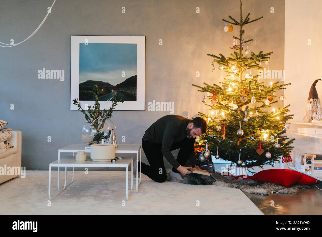 Under christmas tree hi-res stock photography and images - Alamy