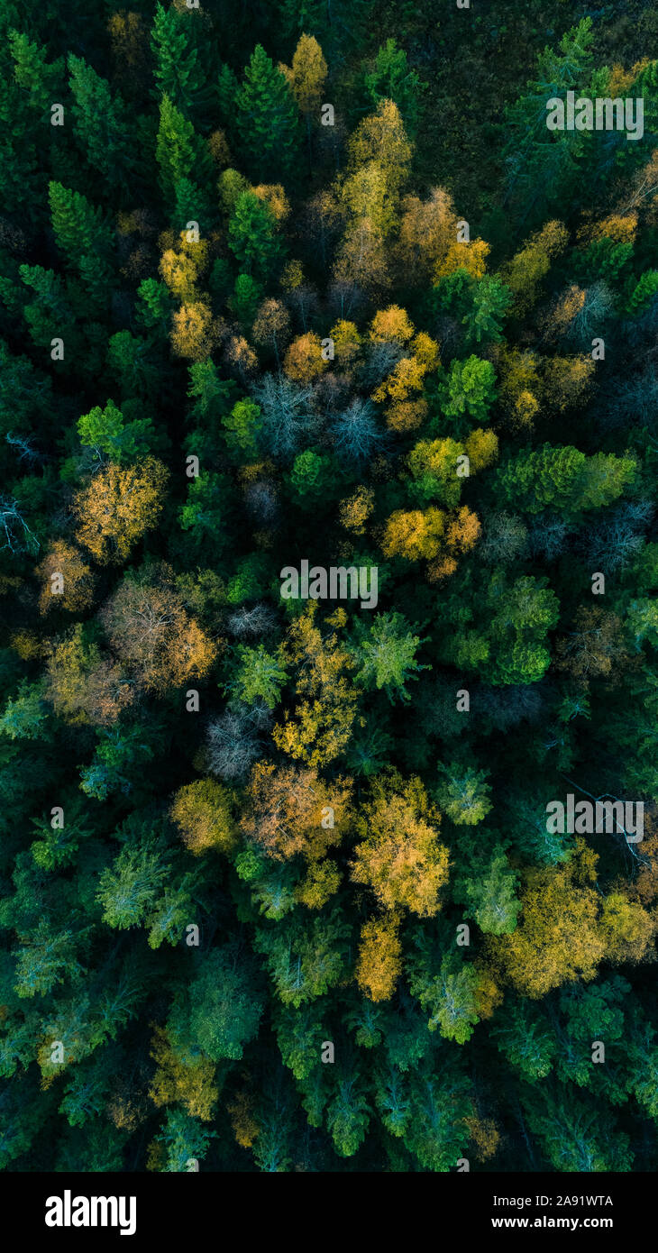 Aerial view of autumn hi-res stock photography and images - Alamy