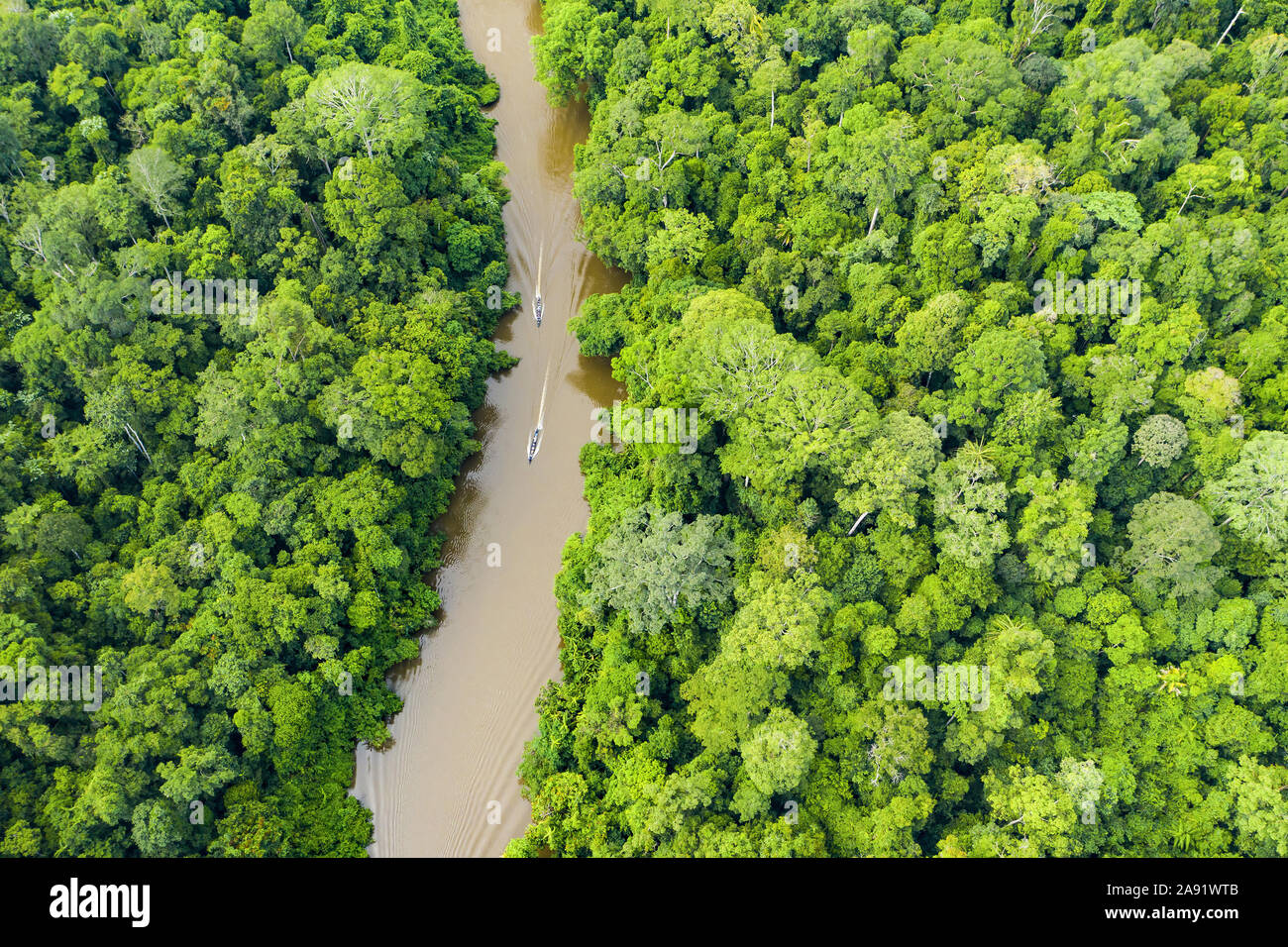 View from above, stunning aerial view of a tropical rainforest with the ...