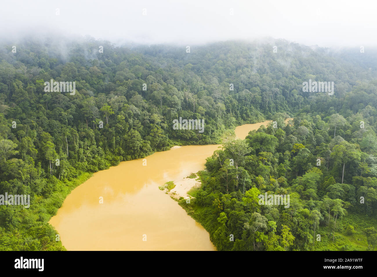 View from above, stunning aerial view of a tropical rainforest with the ...