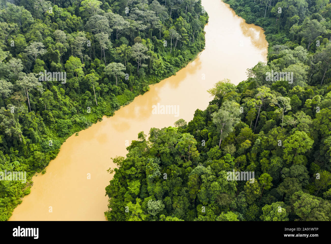 View from above, stunning aerial view of a tropical rainforest with the ...