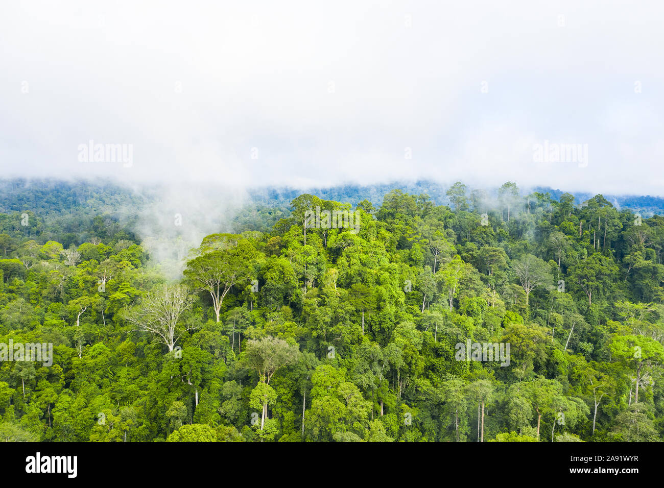 View from above, stunning aerial view of a tropical rainforest with ...