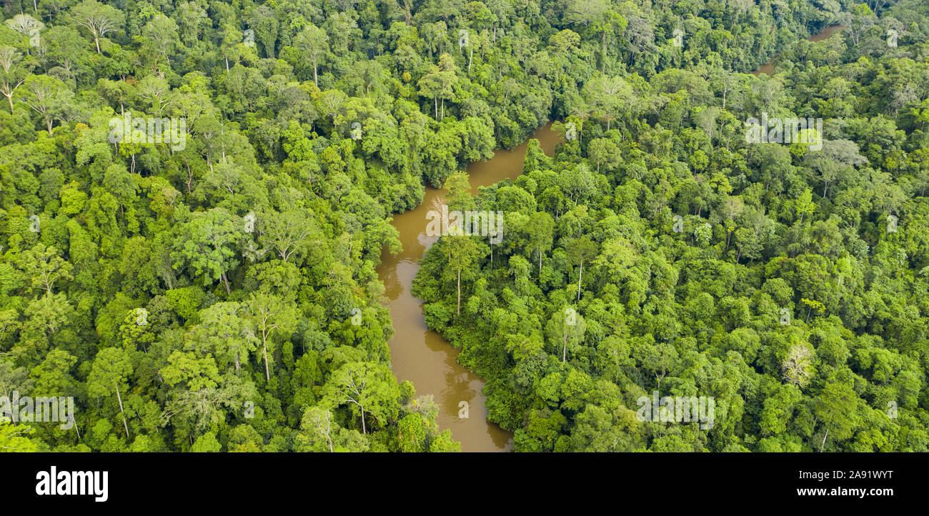 View from above, stunning aerial view of a tropical rainforest with the ...