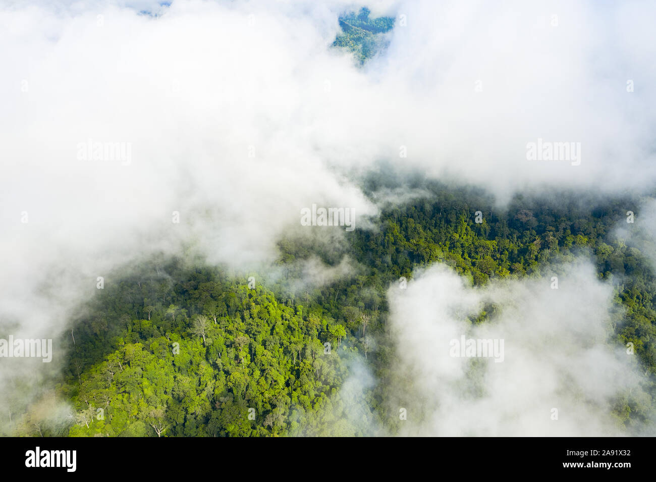 View from above, stunning aerial view of a tropical rainforest with ...