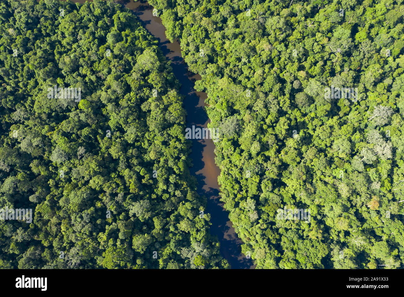 Kuala tembeling hi-res stock photography and images - Alamy