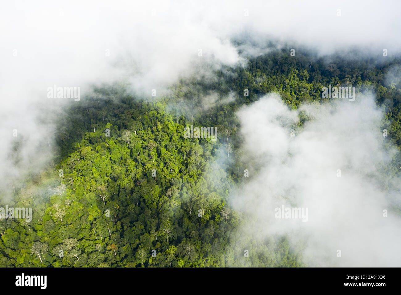 View from above, stunning aerial view of a tropical rainforest with ...