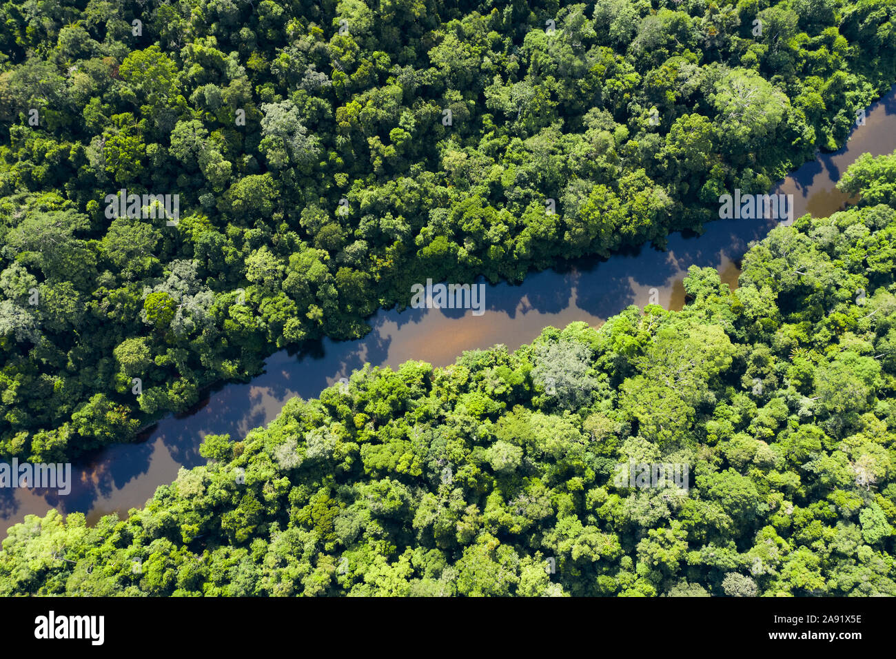 View from above, stunning aerial view of a tropical rainforest with the ...
