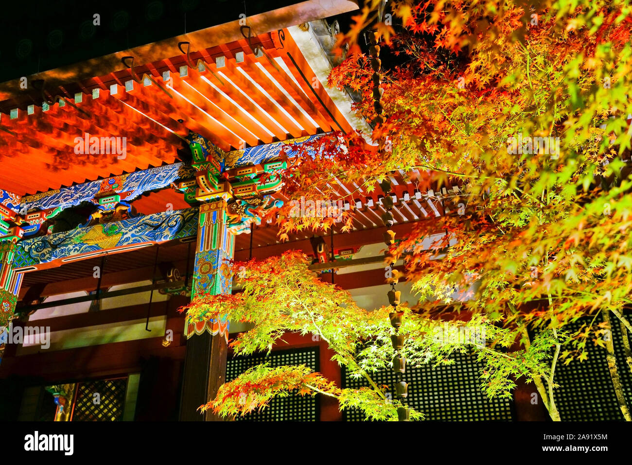 View of the Zenrin-ji Temple with colorful trees displayed at night in ...