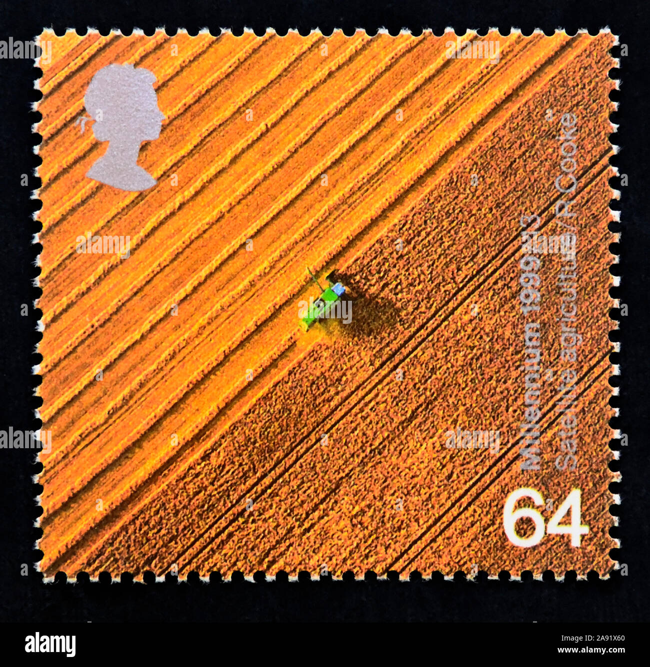 Postage stamp. Great Britain. Queen Elizabeth II. Millenium Series. The ...