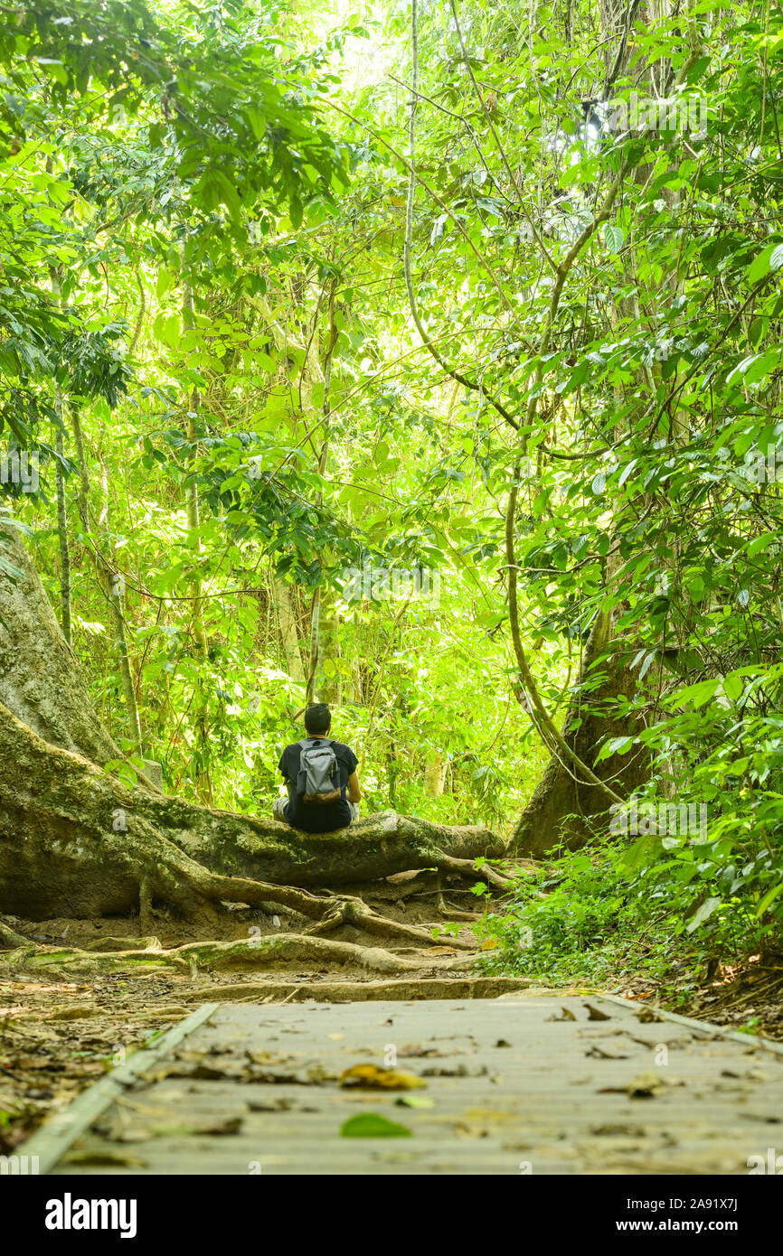 Exploring walkway hi-res stock photography and images - Alamy