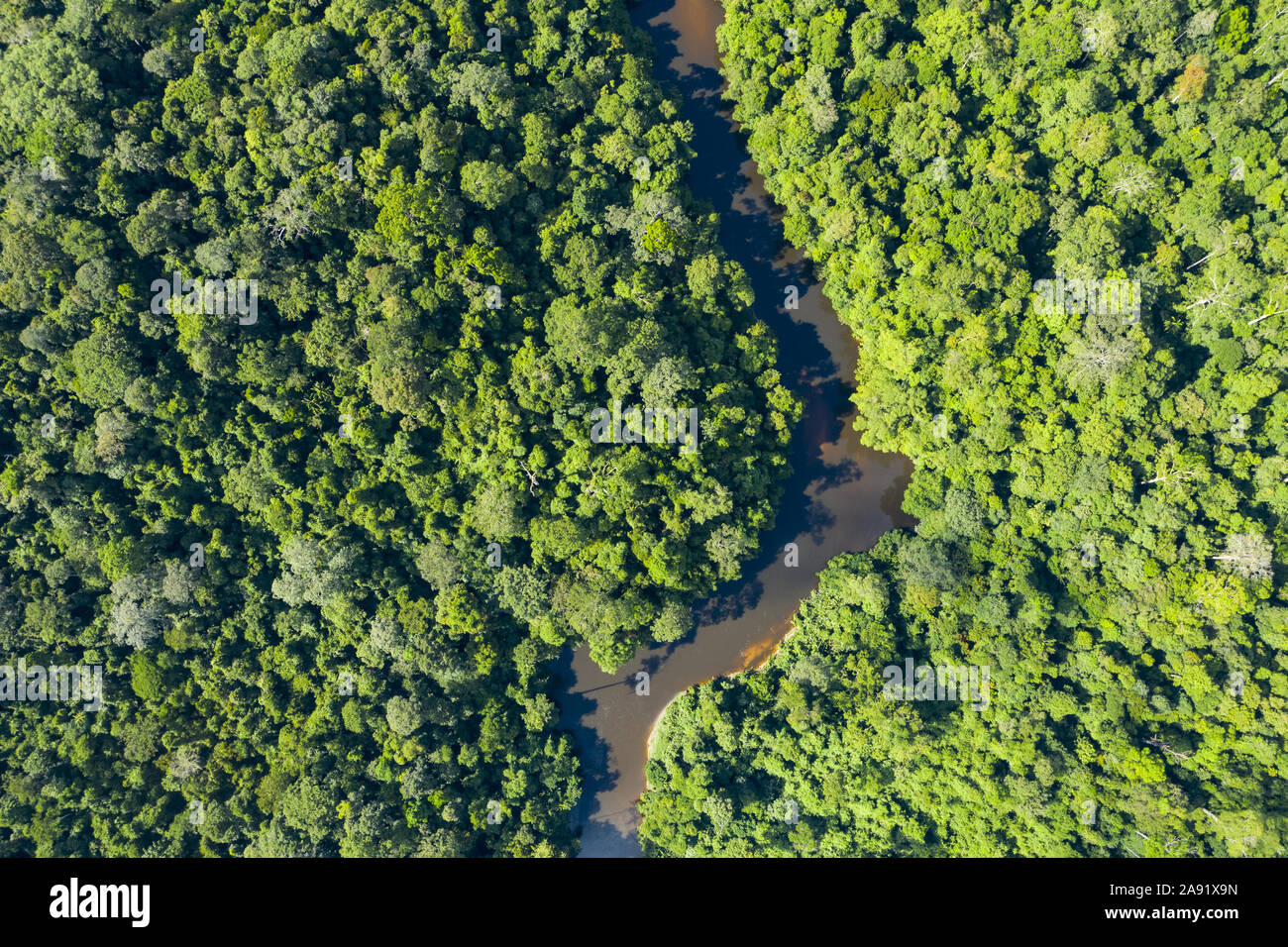 View from above, stunning aerial view of a tropical rainforest with the ...