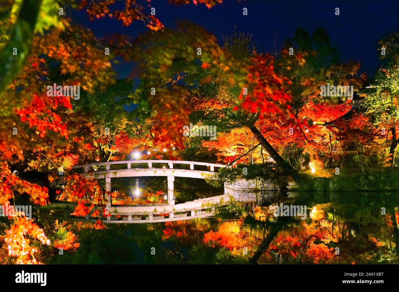 View of the Zenrin-ji Temple with colorful trees displayed at night in ...