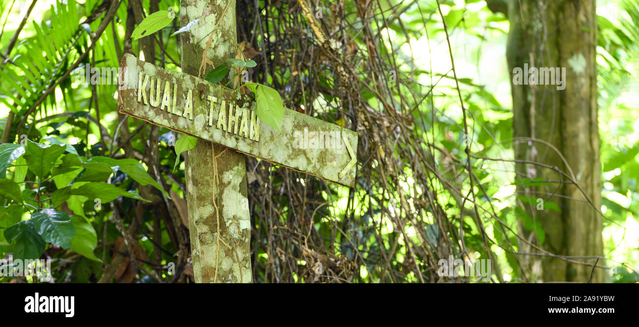 Amazon rainforest sign hi-res stock photography and images - Alamy