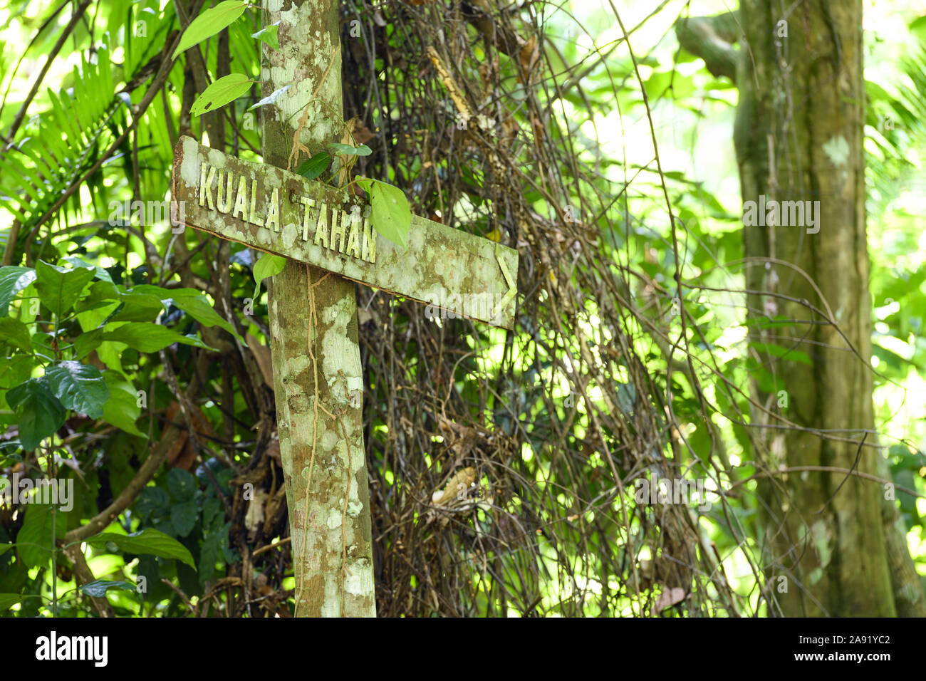 Amazon rainforest sign hi-res stock photography and images - Alamy