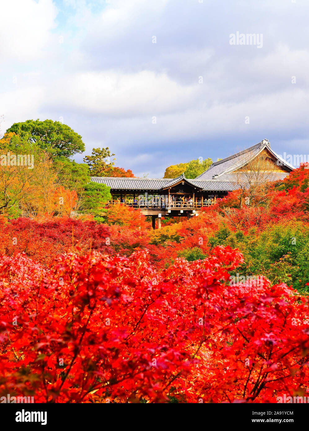 View of the Tofuku-ji Temple in autumn with colorful trees in Kyoto ...