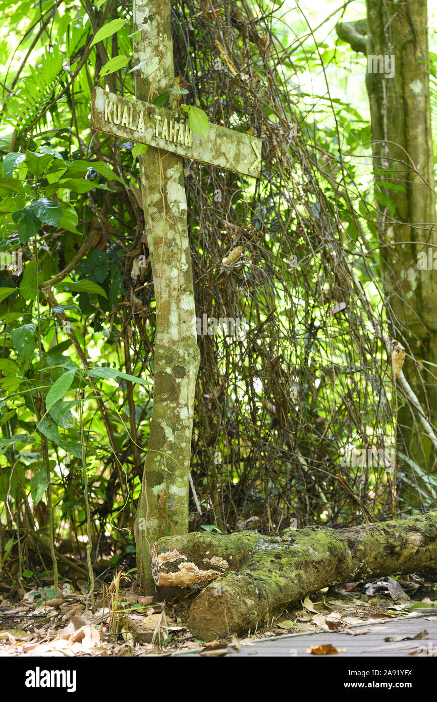 Amazon rainforest sign hi-res stock photography and images - Alamy
