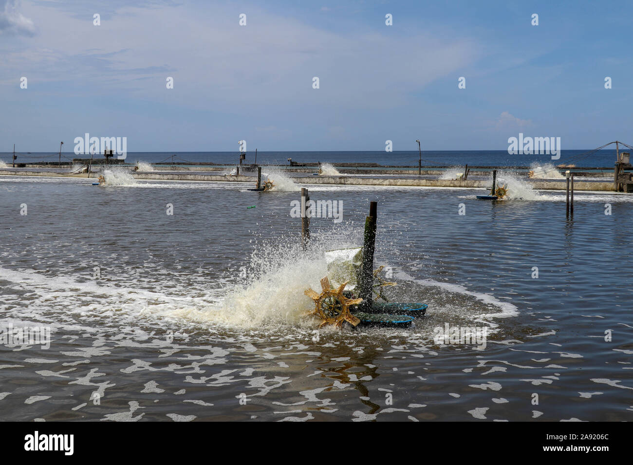 Electric motor-driven paddle wheels oxidize water in a fish and shrimp ...