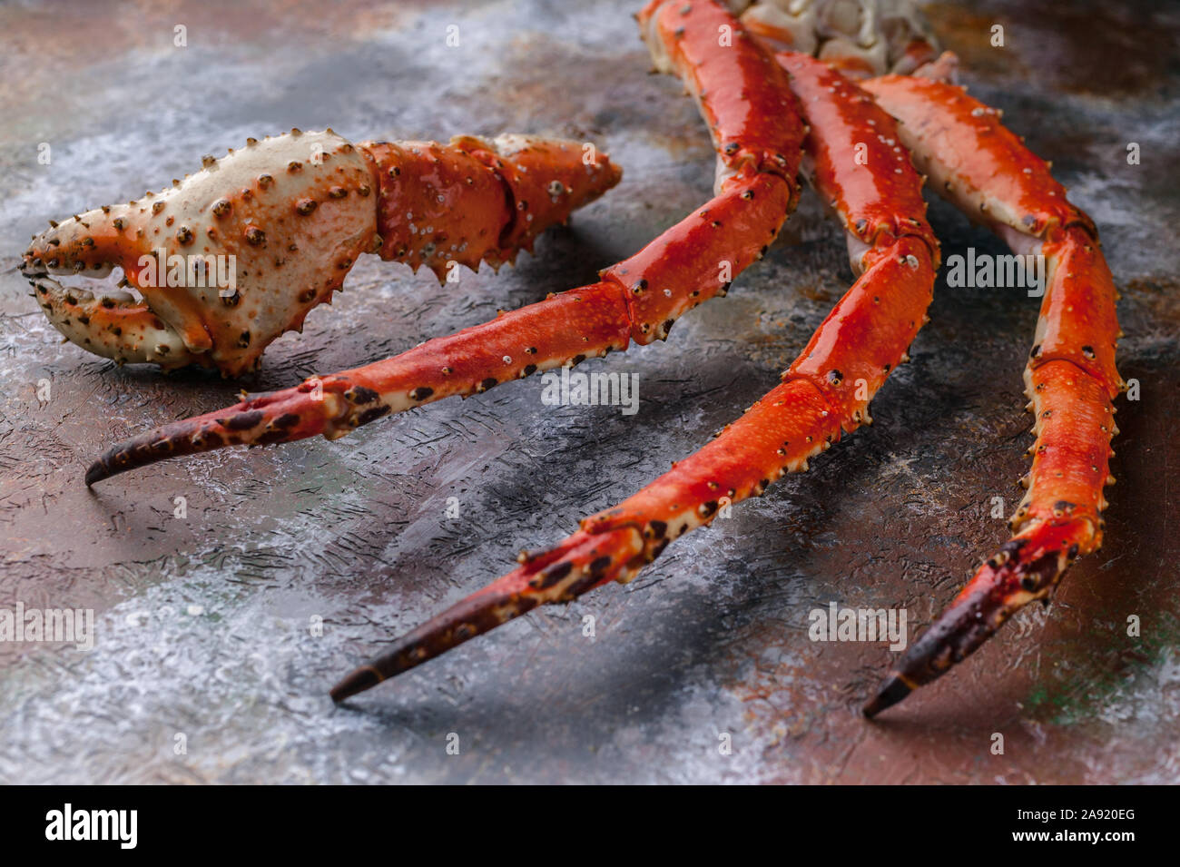 Close-up Red crab claw on a rusty background. Seafood Stock Photo - Alamy