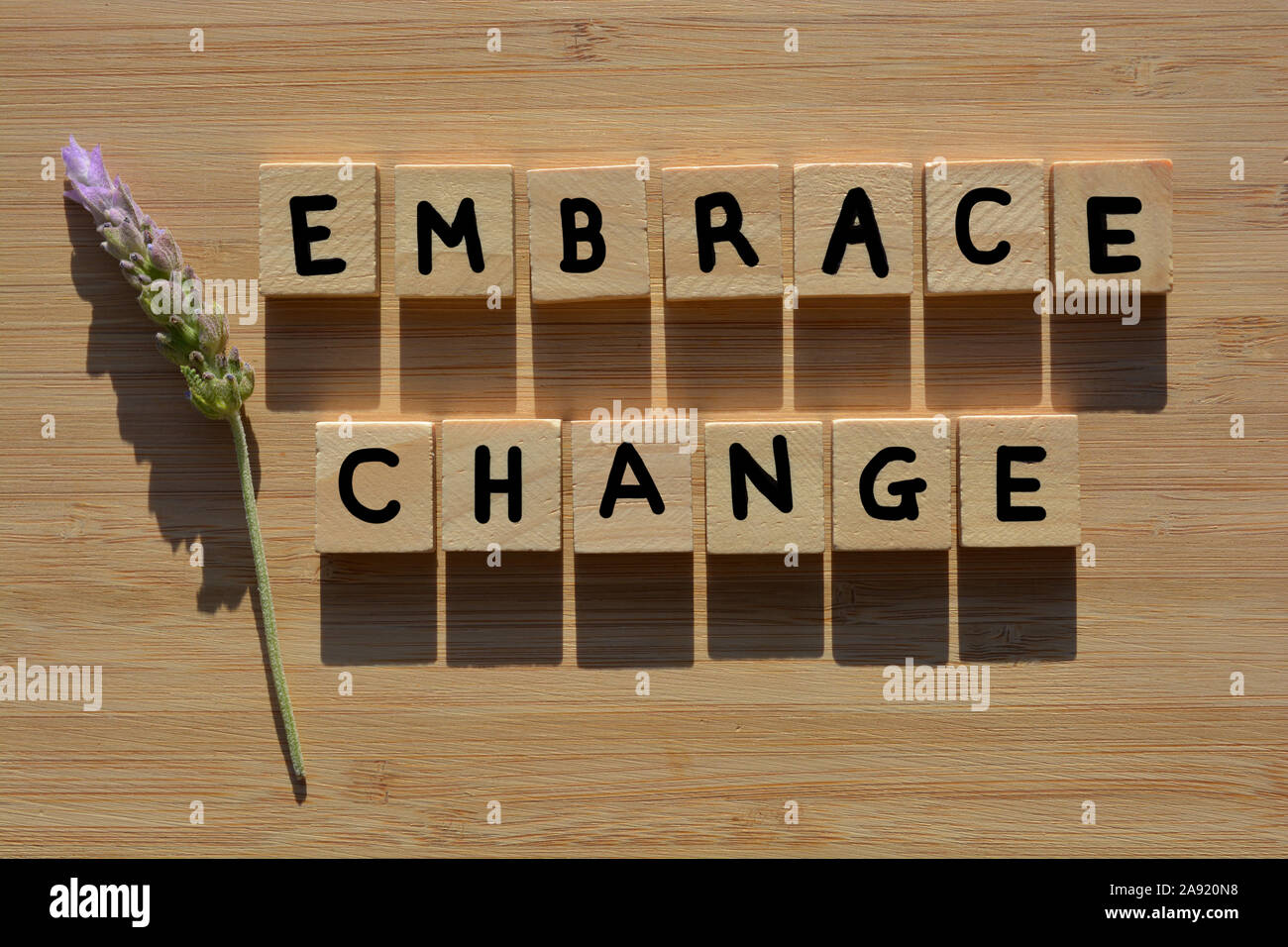 Embrace Change in 3D wooden alphabet letters with a sprig of lavender ...