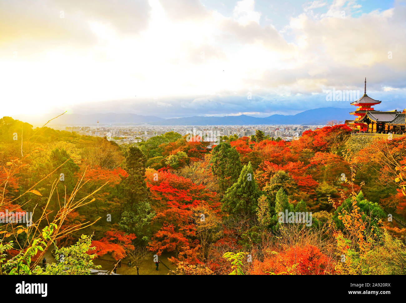 View of the Kiyomizu-dera Temple at sunset in autumn in Kyoto, Japan ...