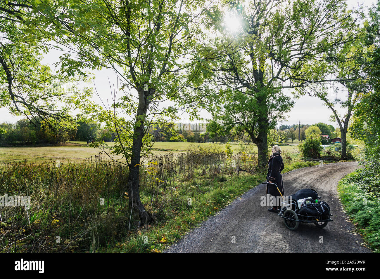 Dirt cart hi-res stock photography and images - Alamy