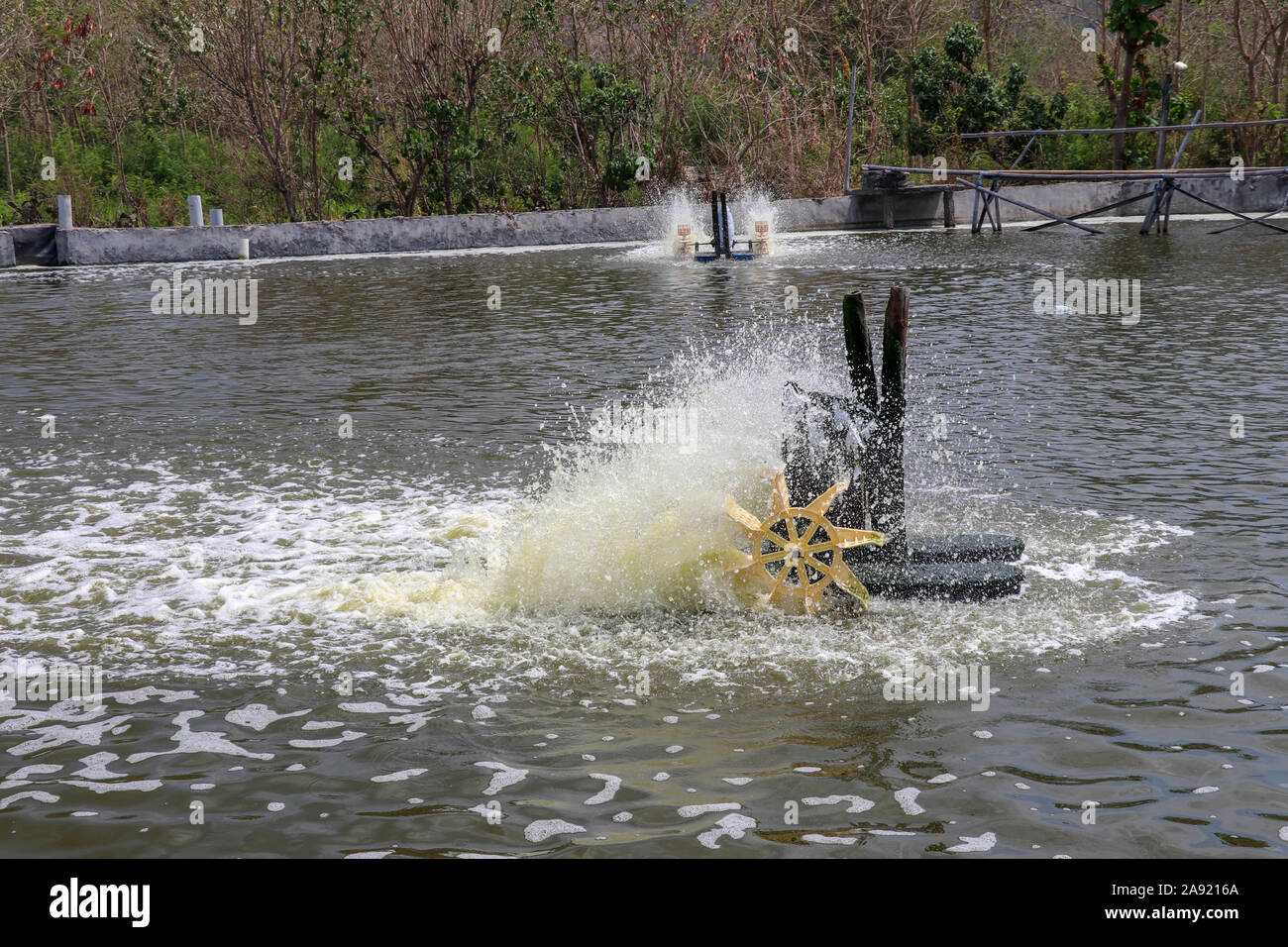Electrically powered paddle wheels that ripple the water tank with king ...