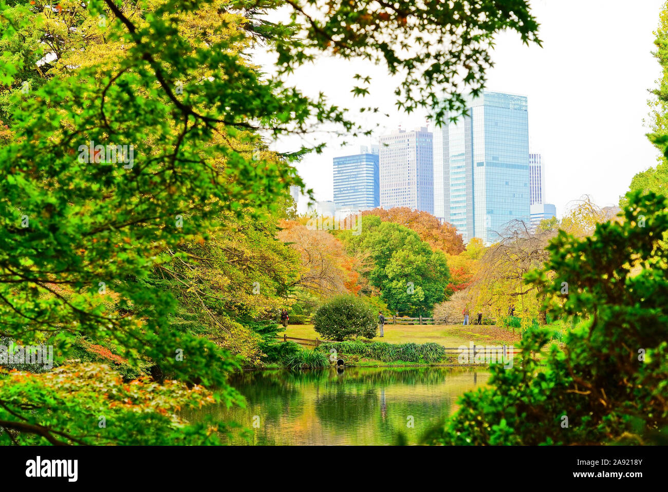 View of the beautiful garden with colorful trees in autumn at Shinjuku ...