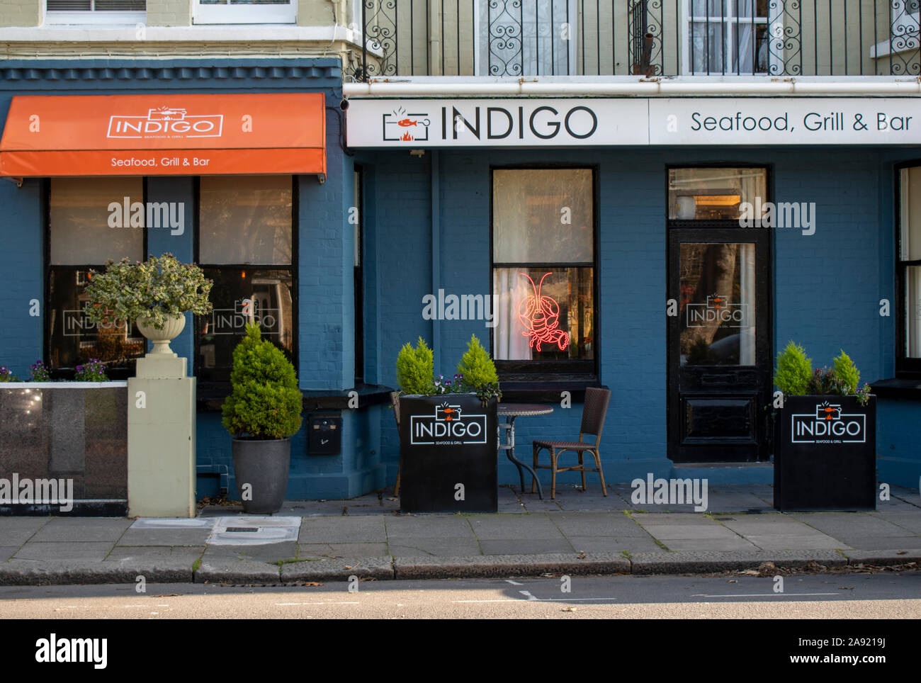 Indigo herb hi-res stock photography and images - Alamy