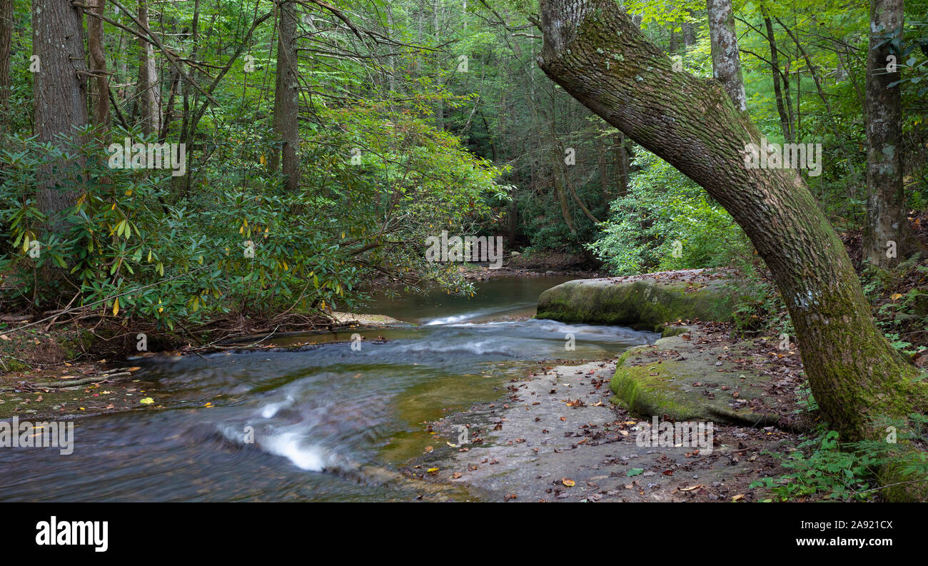 Stream running through the Stone Mountain State Park forest Stock Photo ...