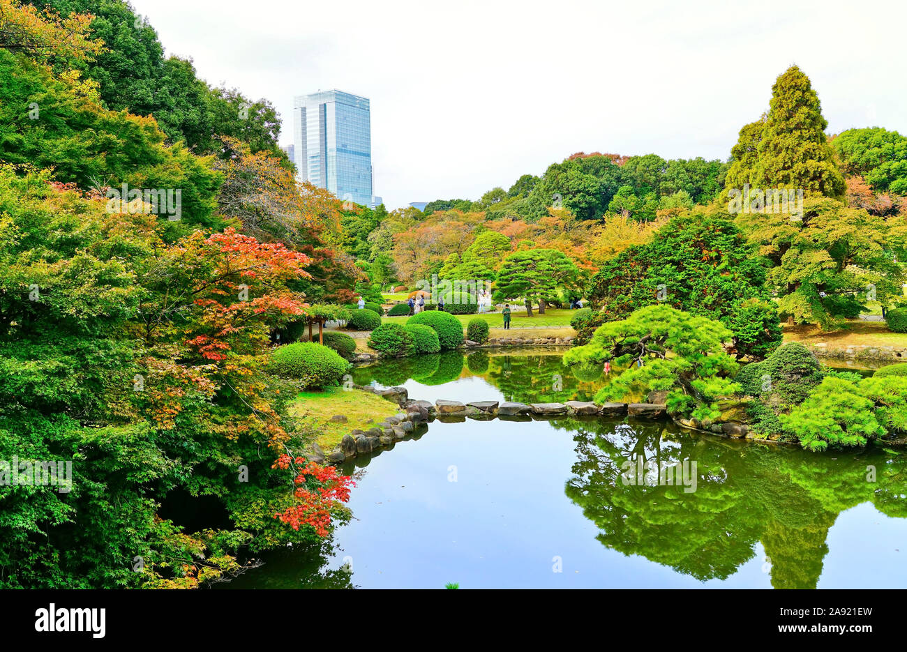 View of the beautiful garden with colorful trees in autumn at Shinjuku ...