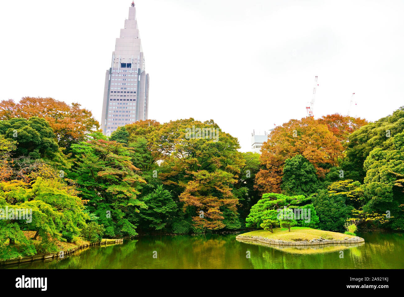 View of the beautiful garden with colorful trees in autumn at Shinjuku ...