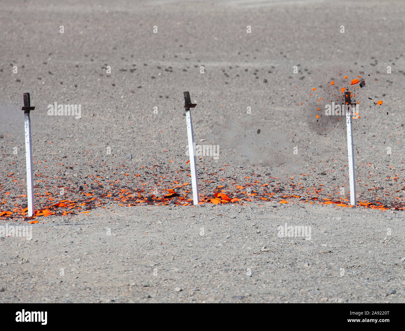 Shotgun Competition High Resolution Stock Photography and Images - Alamy