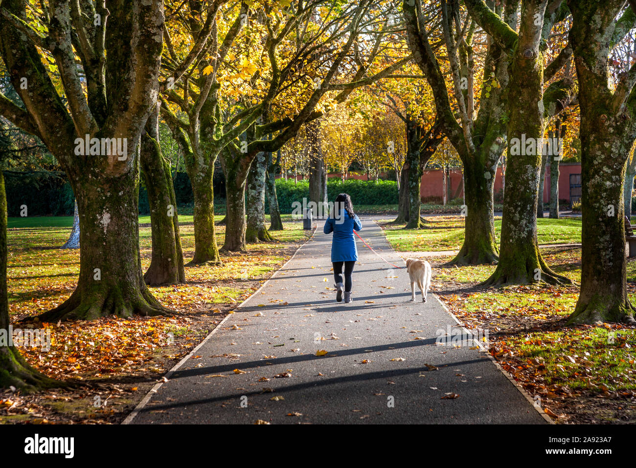 Cork City, Cork, Ireland. 12th November, 2019. Visitors stroll through ...