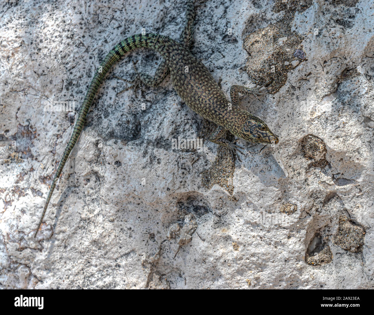 European wall hi-res stock photography and images - Alamy