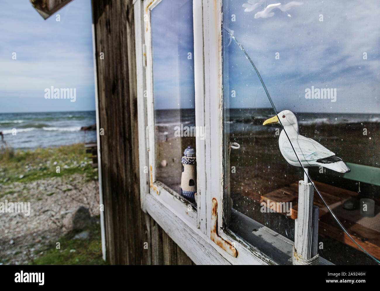 Seagull sculpture seen through window Stock Photo - Alamy