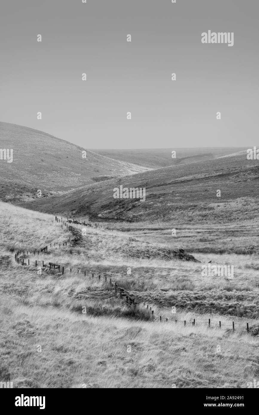 A black and white image of the Cowsic Valley Dartmoor Stock Photo - Alamy