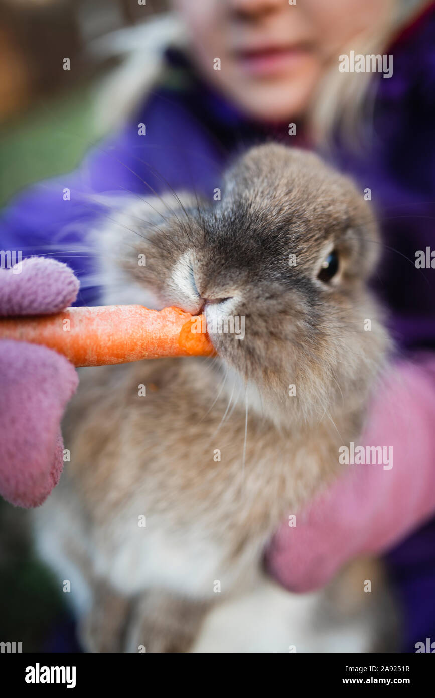 Rabbit root hi-res stock photography and images - Alamy