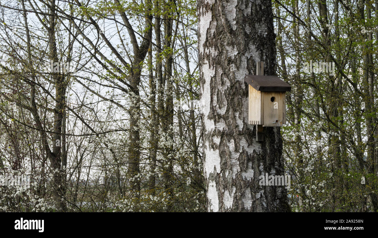 Birdhouse on a tree hi-res stock photography and images - Alamy