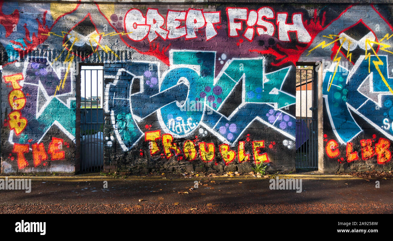 Cork City, Cork, Ireland. 12th November, 2019. Graffiti painted on the ...