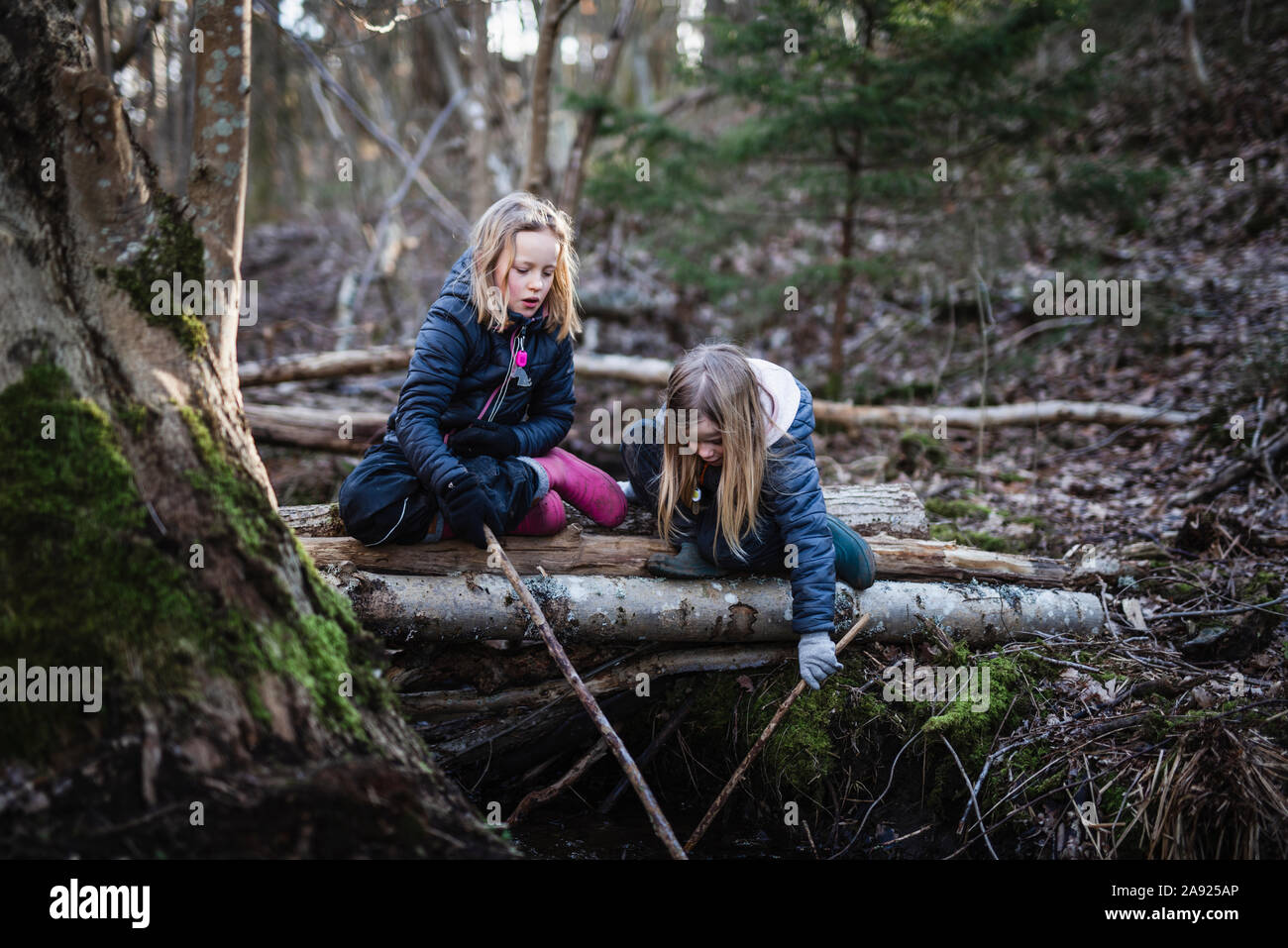 Girls at stream in forest Stock Photo - Alamy