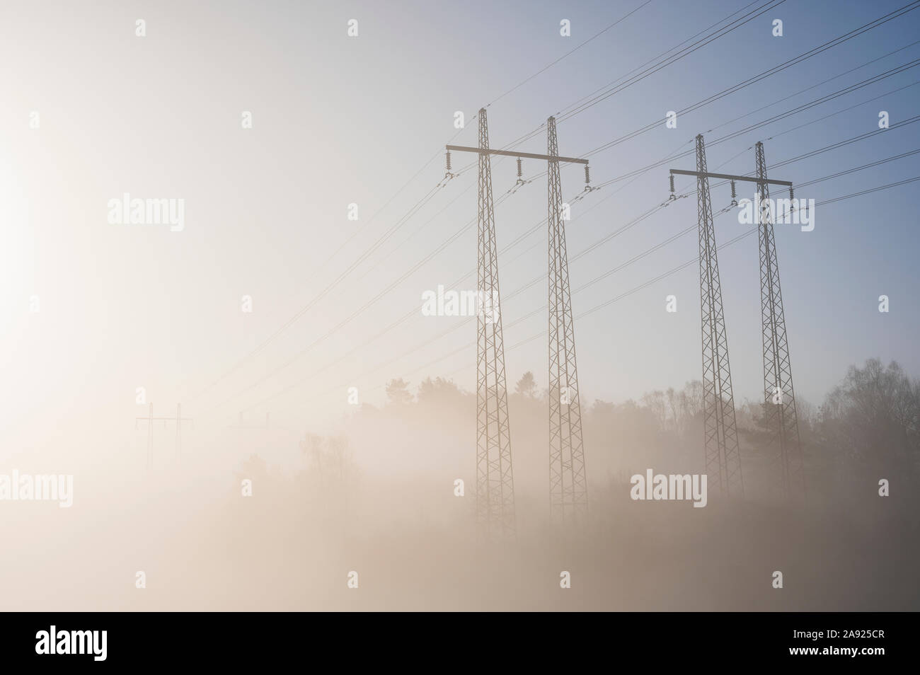 Electricity in the forest hi-res stock photography and images - Alamy