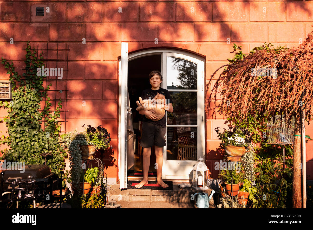Boy holding cat Stock Photo - Alamy