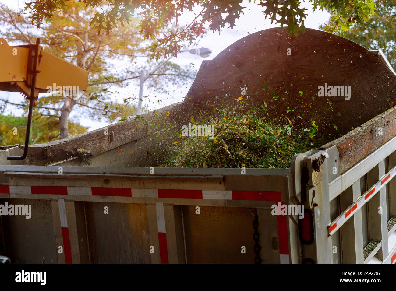 Wood chipper blowing tree branches cut a portable machine used for ...