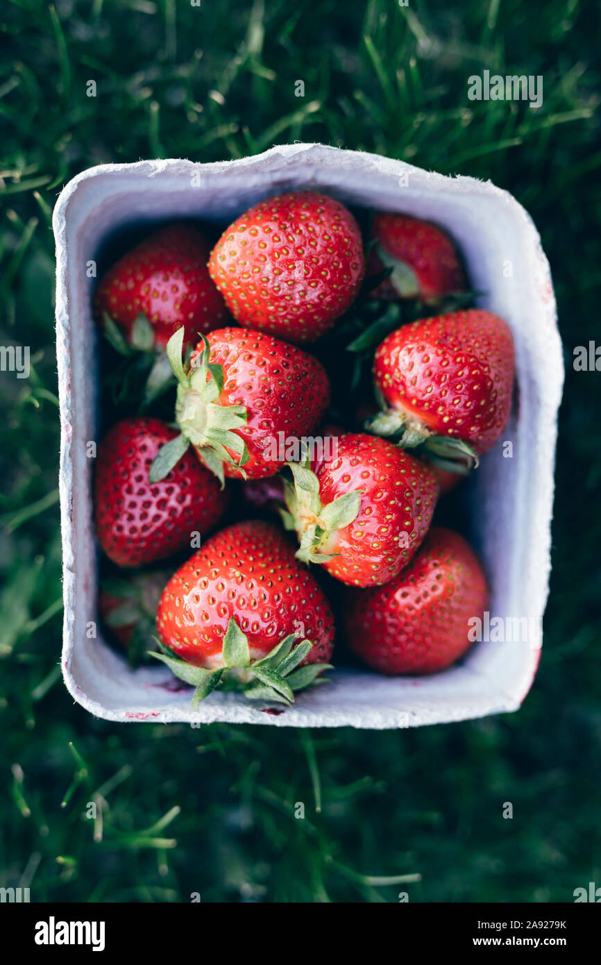 Strawberries in box Stock Photo - Alamy