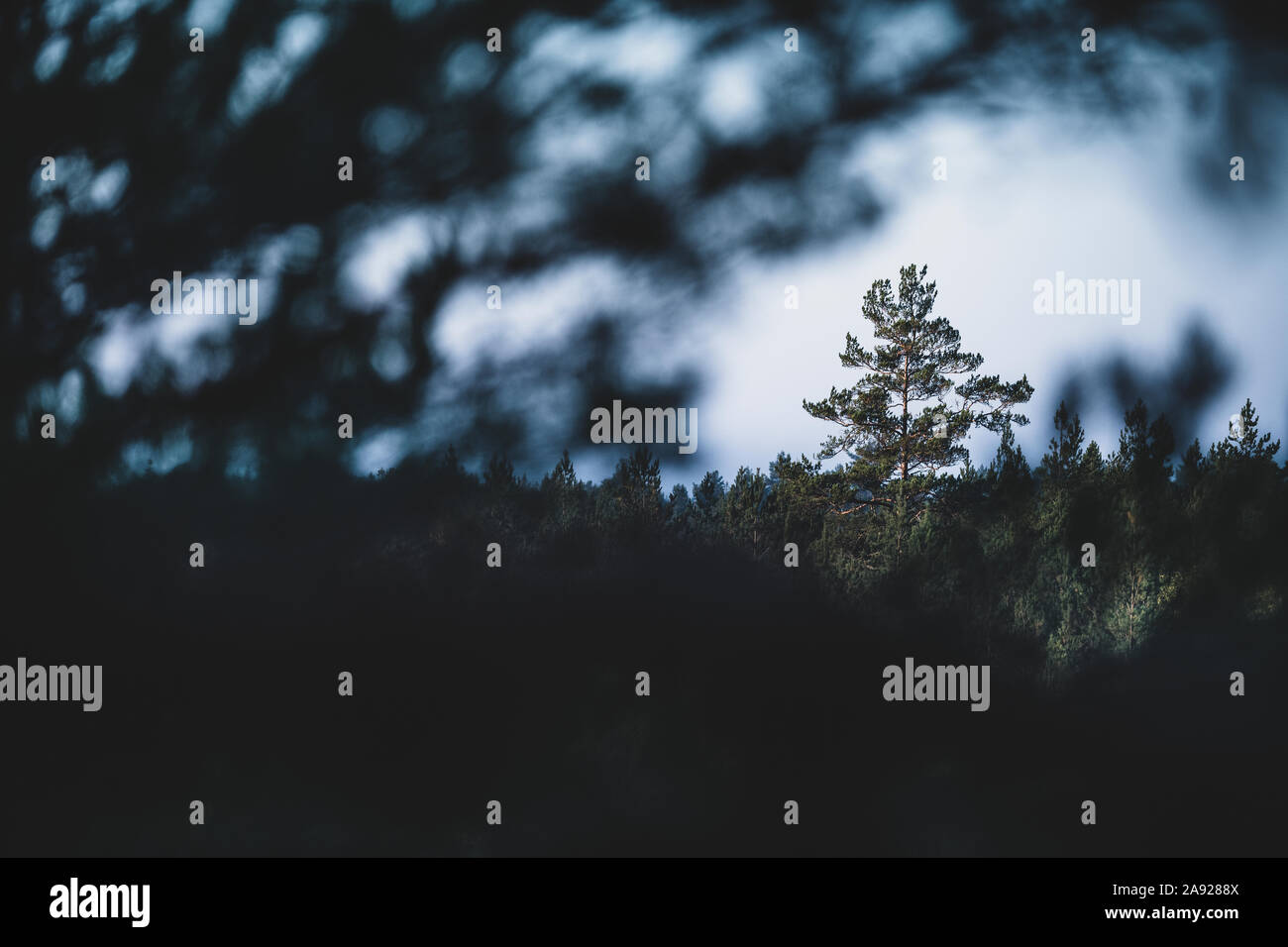 Tall horizontal hi-res stock photography and images - Alamy